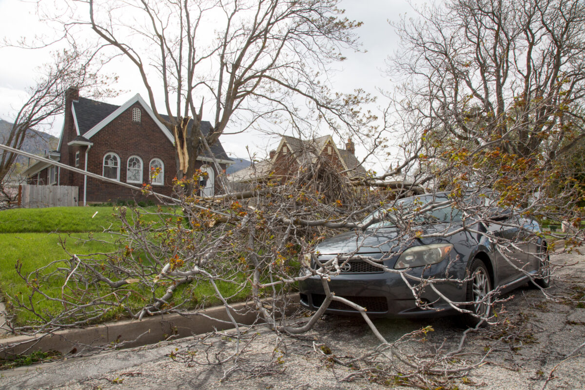 Wind storm causes power outages and damage in Northern Utah | News ...